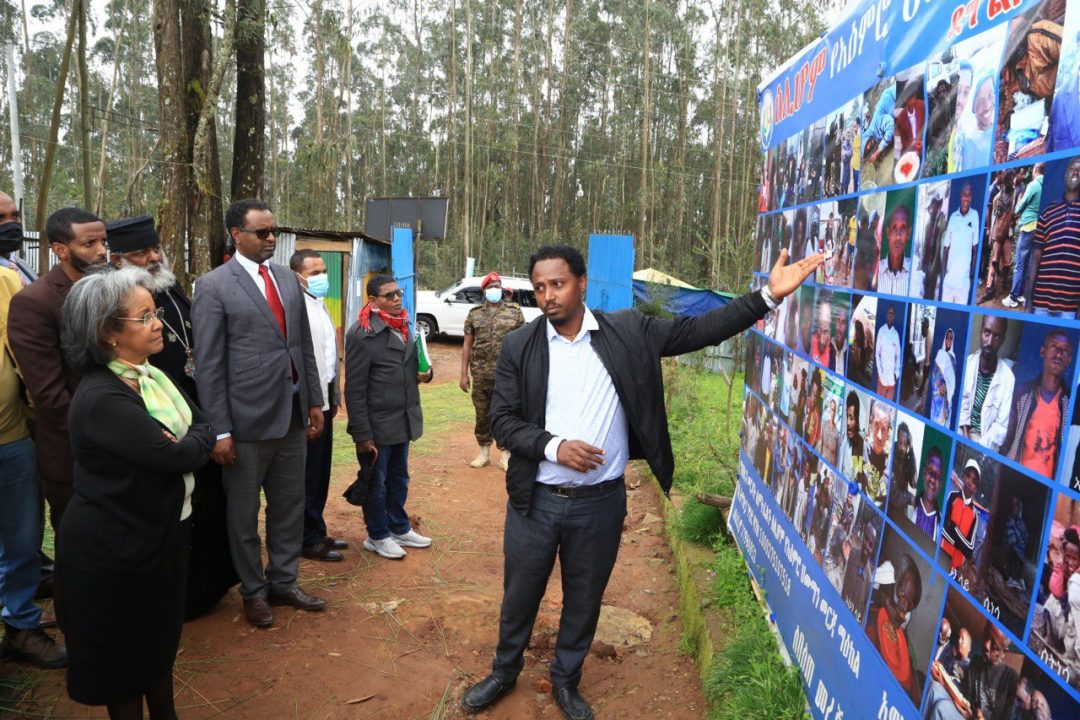 THE SELIHOM MENTAL HEALTH CENTRE IN ENTOTO - Ethiopia